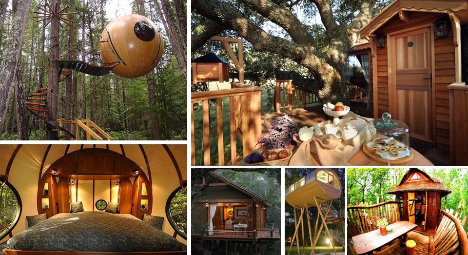DIY Luxury Tree Houses - Ideas to Love